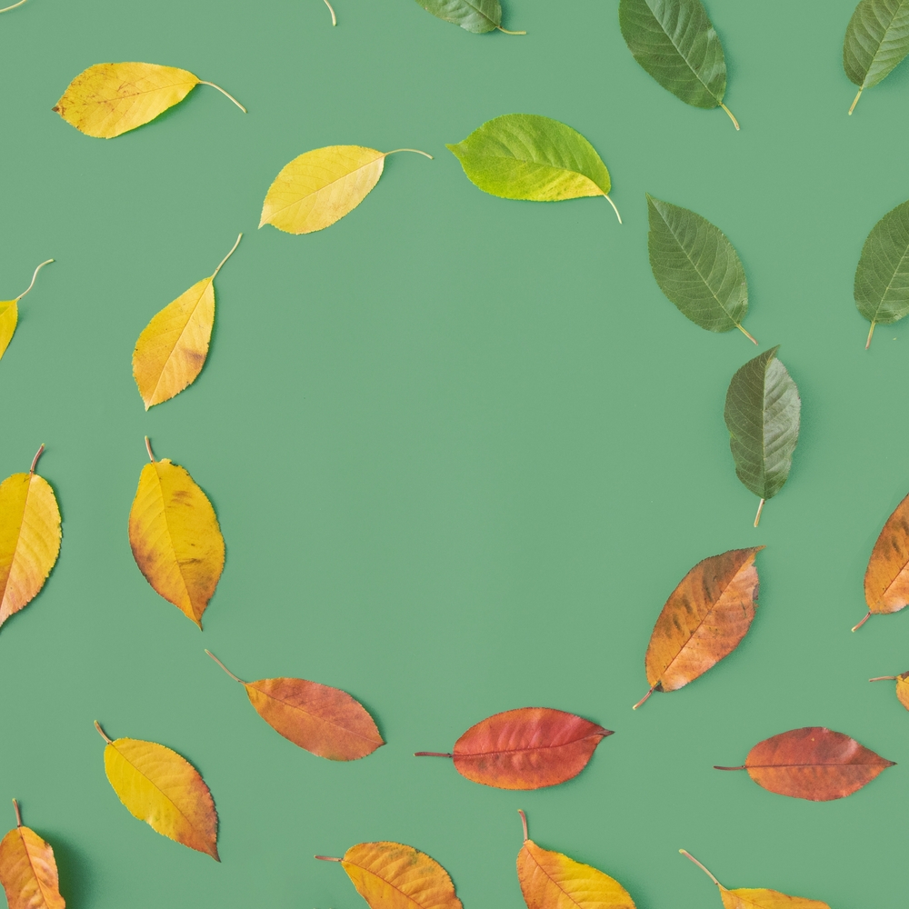 Pros and Cons of the TSP Lifecycle Funds - DailyFED