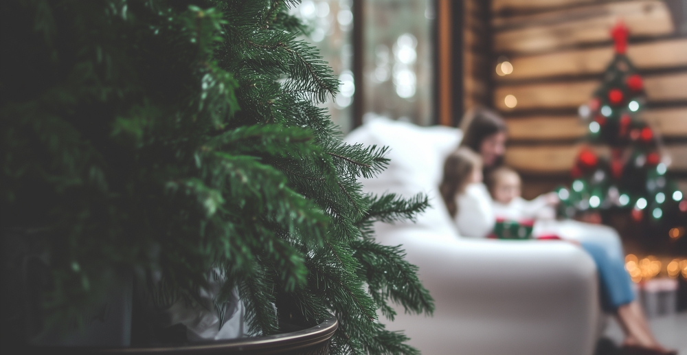 Federal Workforce: Extended Holiday Break and 2026 Pay Raise - DailyFED